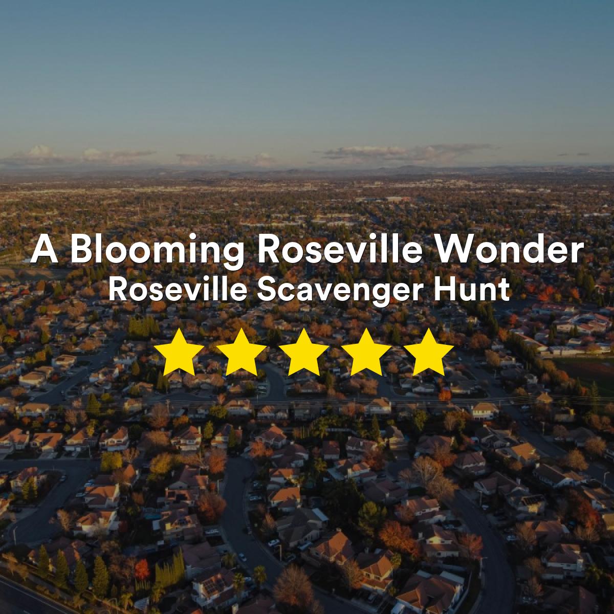 Roseville Scavenger Hunt: A Blooming Roseville Wonder