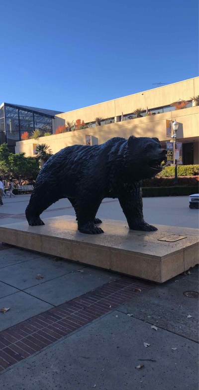 University of California Los Angeles Scavenger Hunt: UCLA Bruin Bounty Hunt